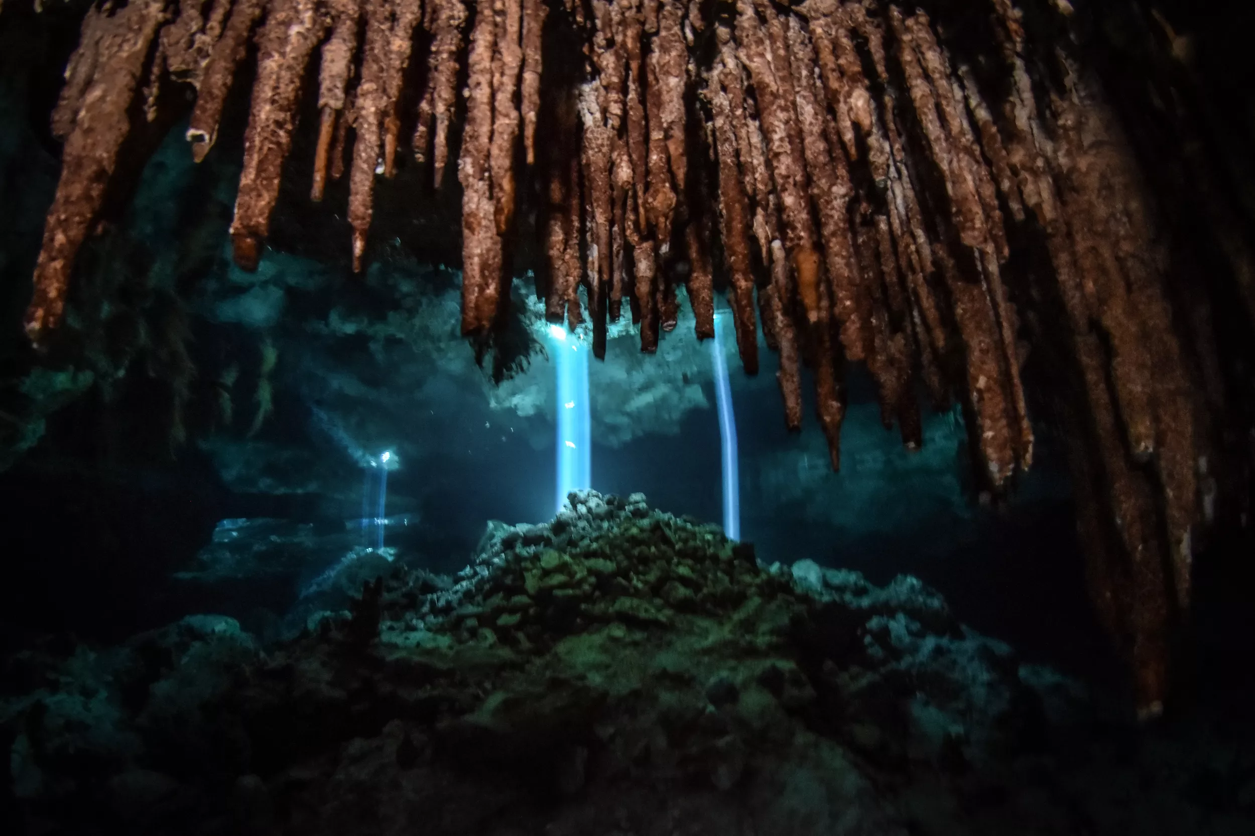 Cenotes Archives - Tulum Diving Packages & Experiences